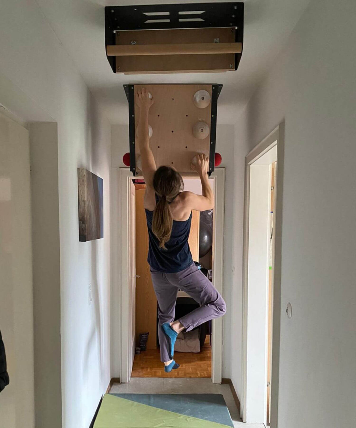 Gallery of Clevo climbing modules for home