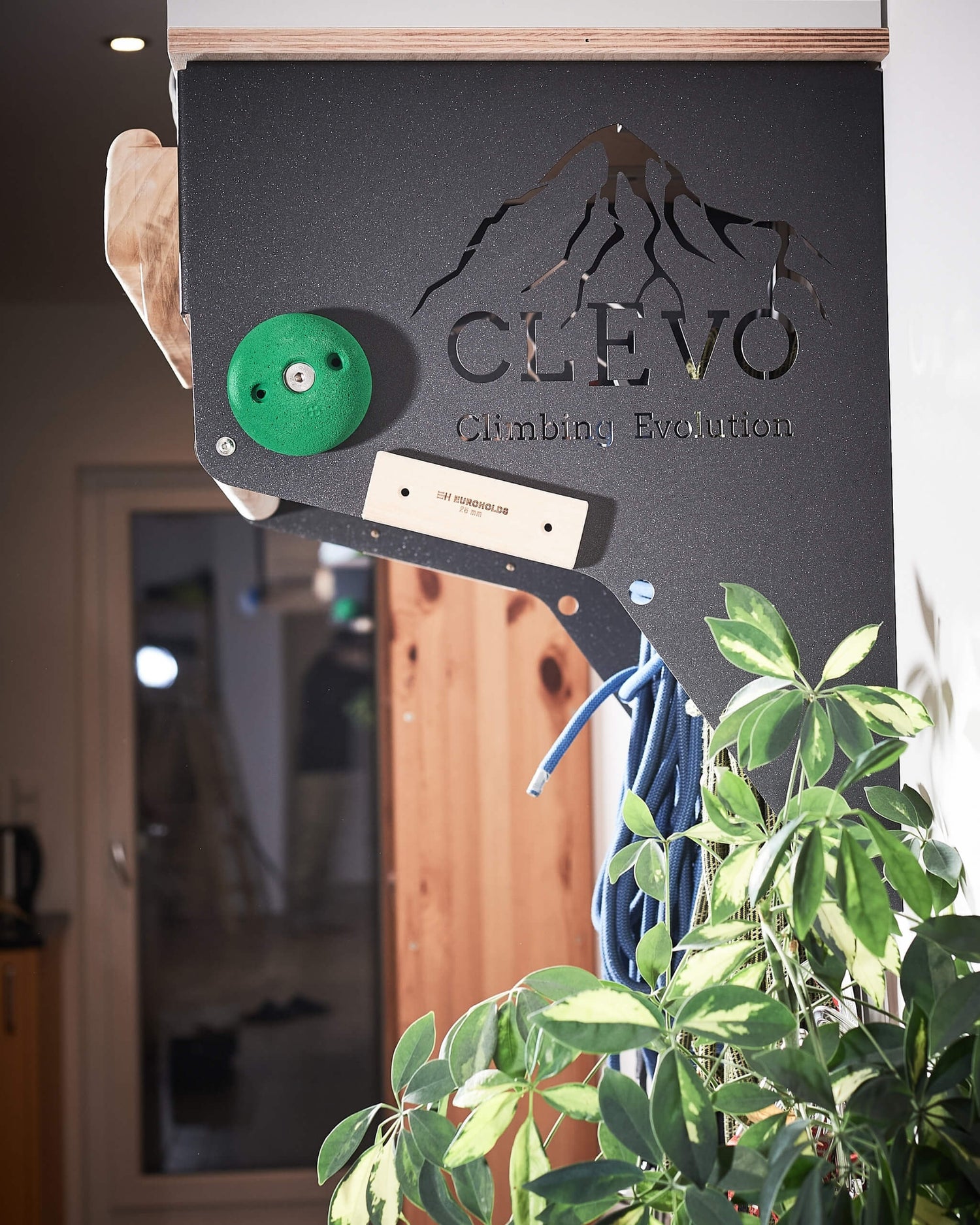 Clevo Wall: Climbing wall for the home incl. hangboard + storage