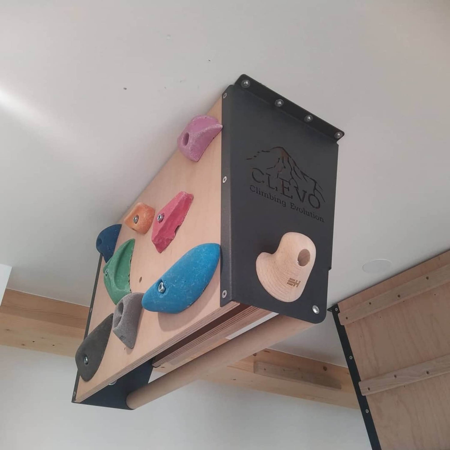 Ceiling Climbing Module for Hangboard, Grips, Campusboard, Pull-up Bar
