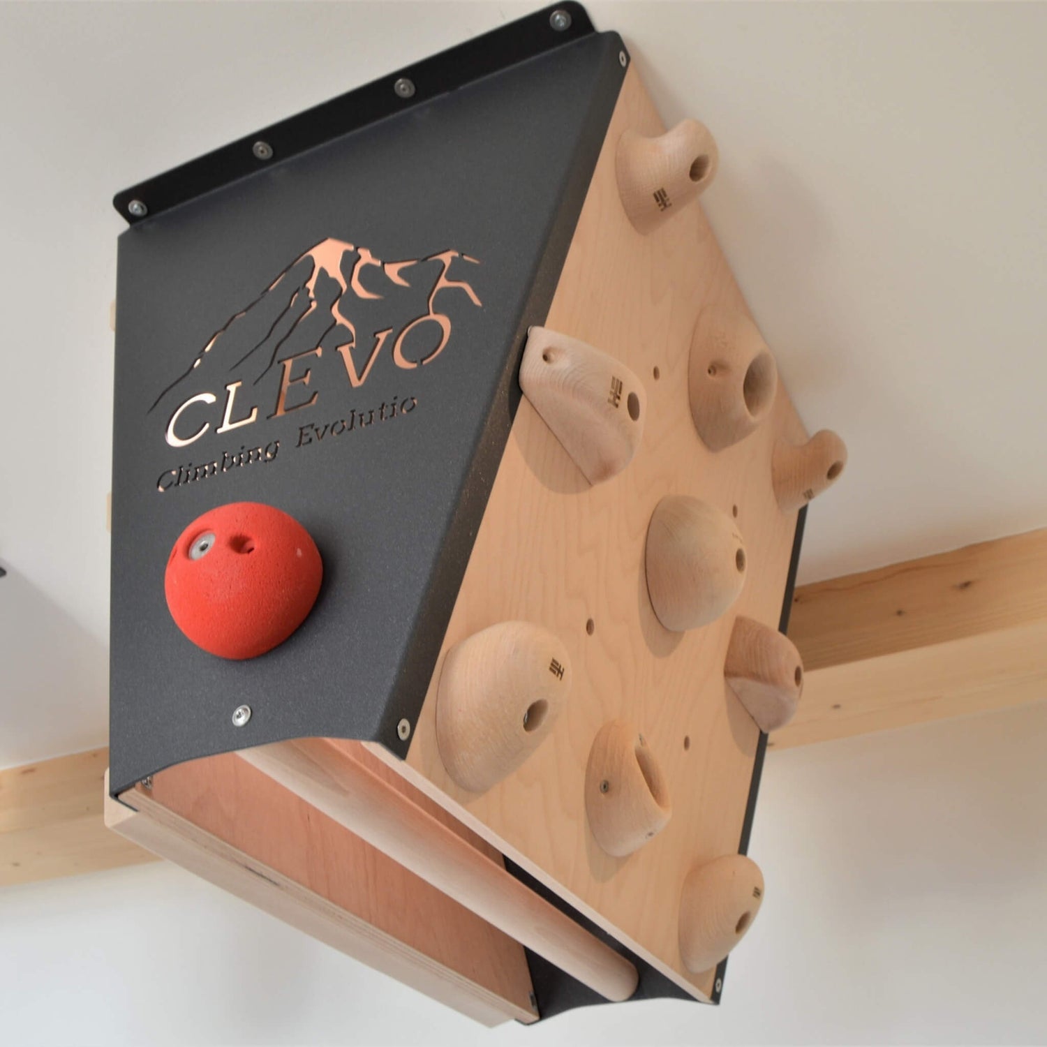 CLEVO L: Ceiling mount campus board, climbing handles and pull-up bar