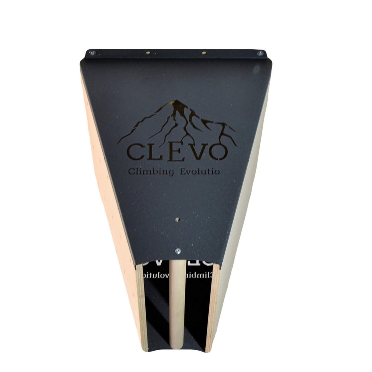 CLEVO L: Ceiling mount campus board, climbing handles and pull-up bar