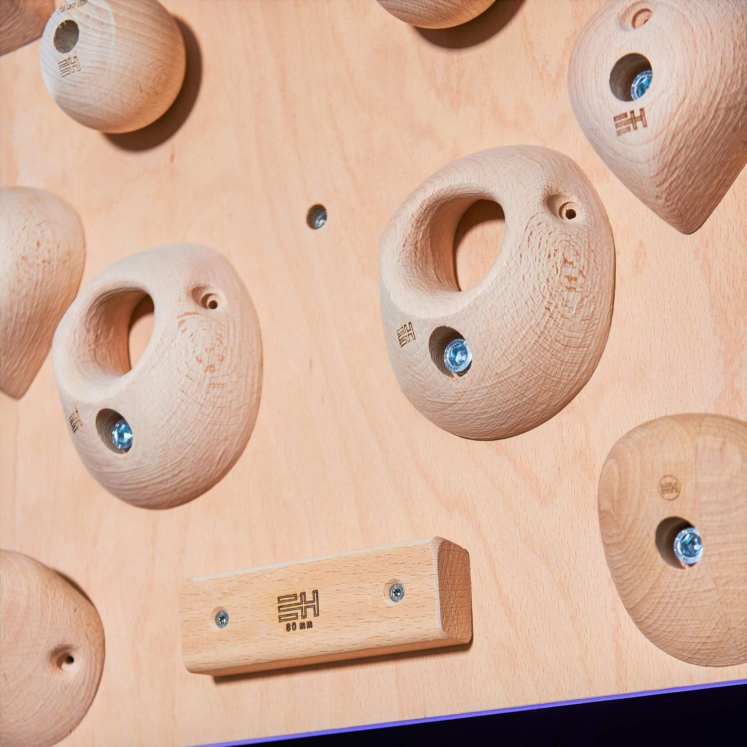 Euroholds Campus Rungs for Climbing and Bouldering