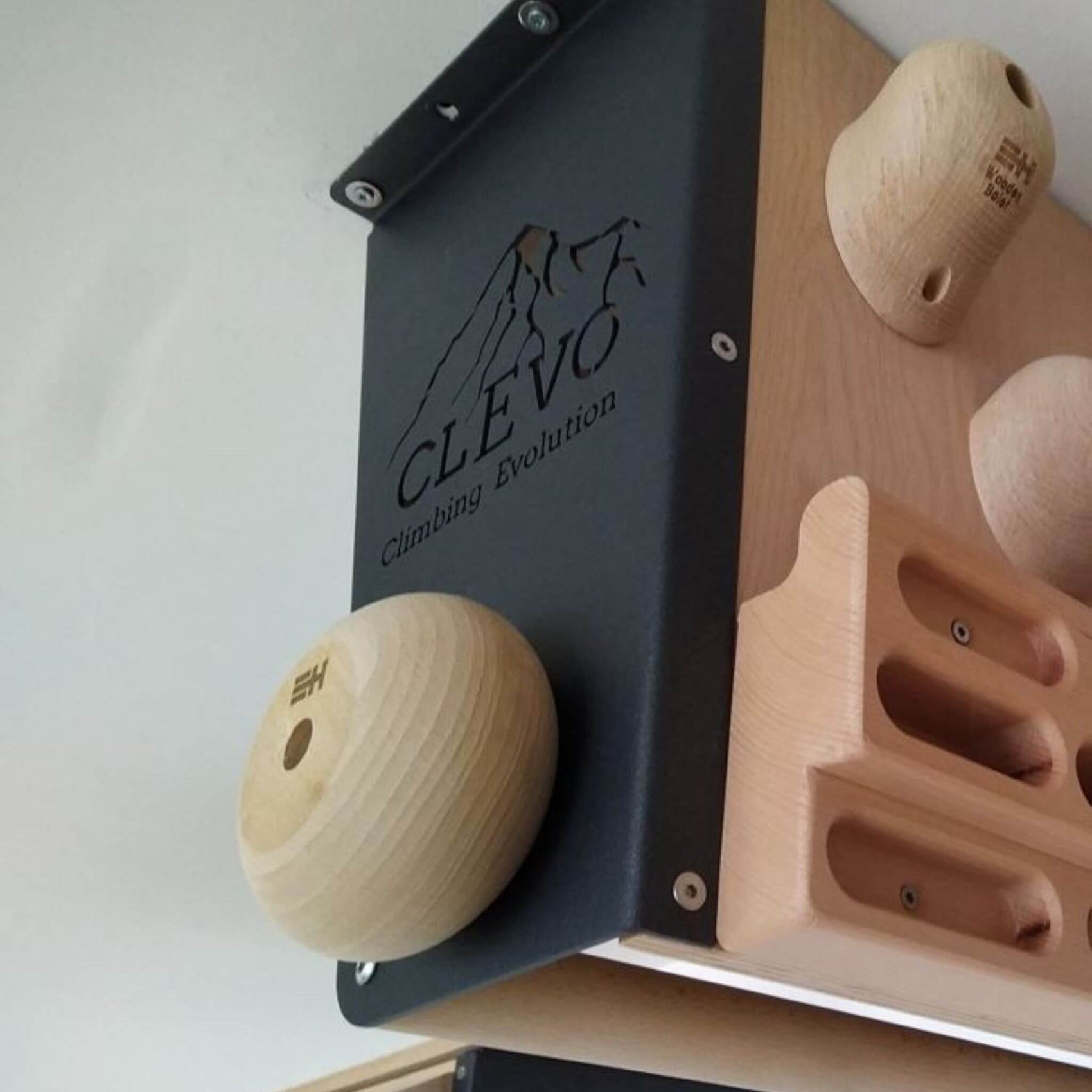 Wooden Climbing Holds From Euroholds in Different Shapes