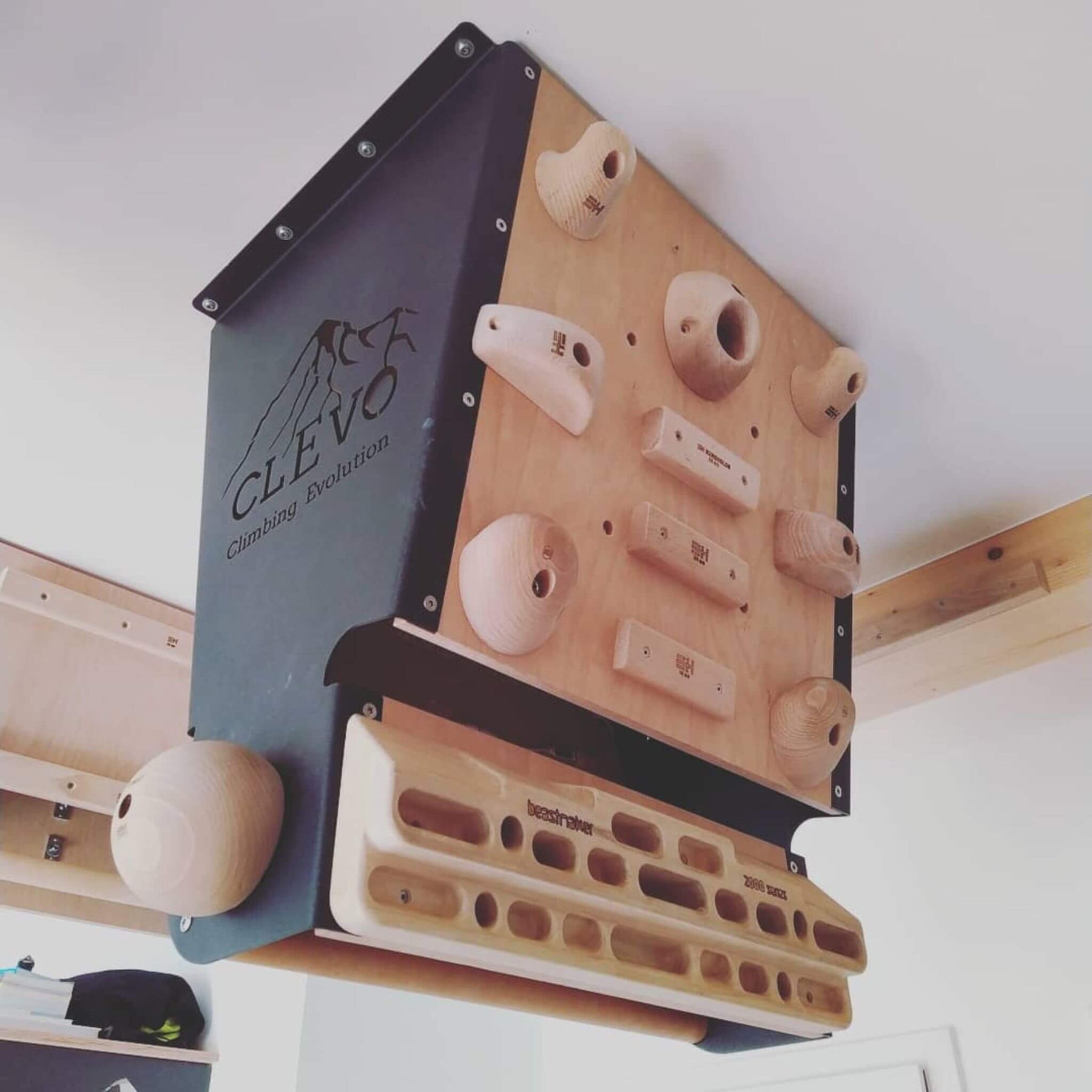 Wooden Climbing Holds From Euroholds in Different Shapes